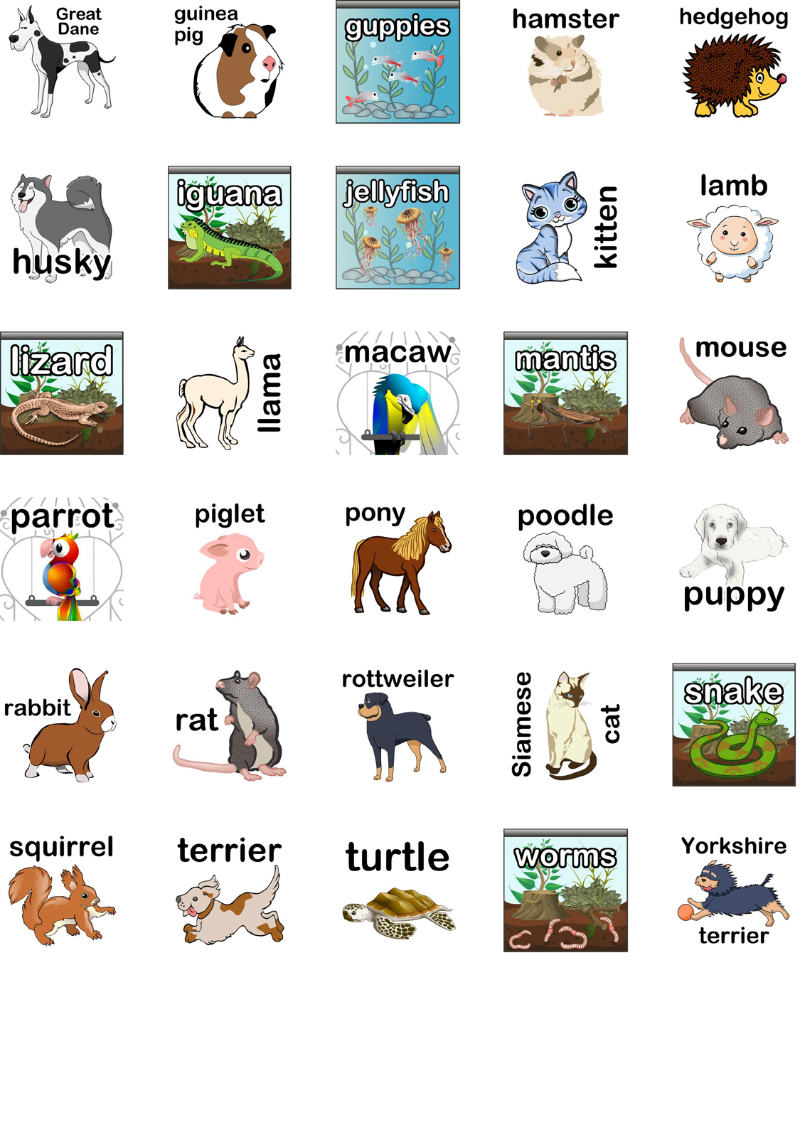 Pets Bingo 6x6 (100 pages + call sheet) | Made By Teachers