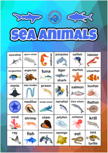 Sea Animals Bingo 6x6 (5 pages + call sheet) | Made By Teachers