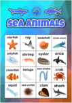 Sea Animals Bingo 4x4 (100 pages + call sheet) | Made By Teachers