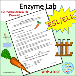 ESL Biology Enzyme Lab - Made By Teachers