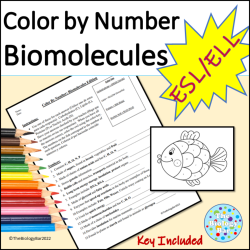 ESL Biomolecules Color By Number | Made By Teachers