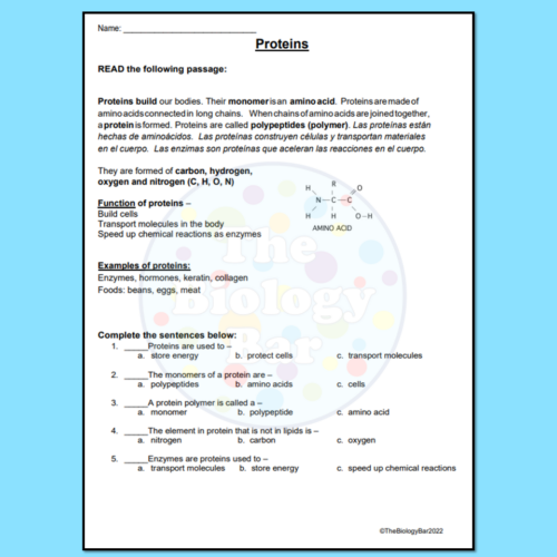 ESL Biology Biomolecule Worksheet and Review with Digital option | Made ...