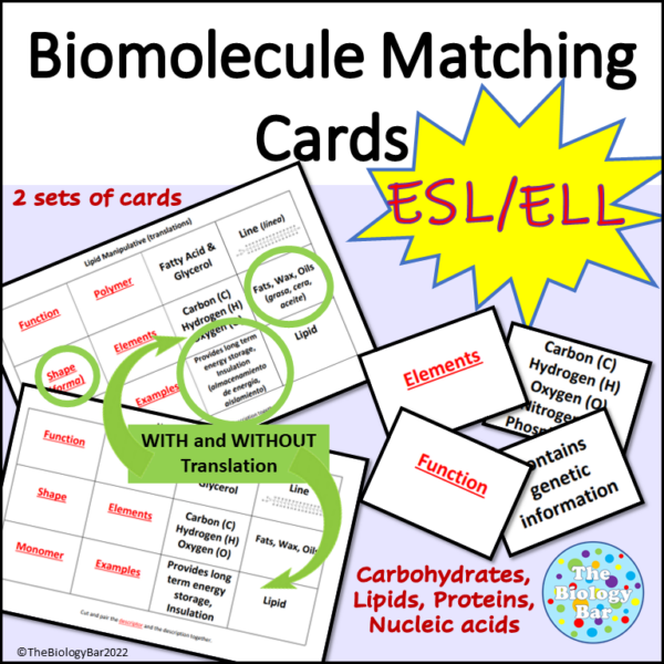 ESL Biology Biomolecule Card Match | Made By Teachers