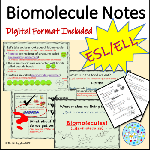 ESL Biology Biomolecule Notes PPT and Student Notes with Digital option ...