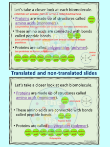 ESL Biology Biomolecule Notes PPT and Student Notes with Digital option ...