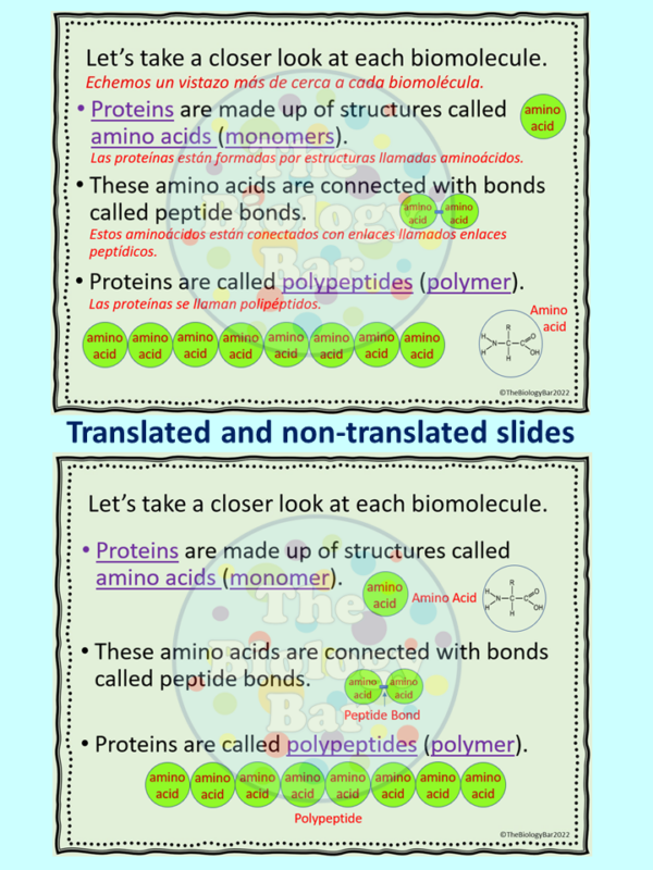 ESL Biology Biomolecule Notes PPT and Student Notes with Digital option ...