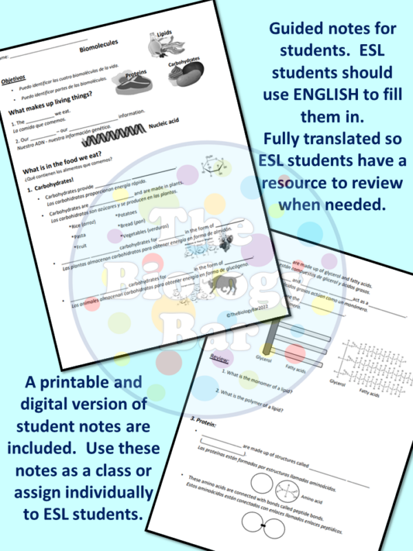 ESL Biology Biomolecule Notes PPT and Student Notes with Digital option ...