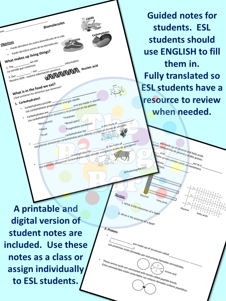 ESL Biology Biomolecule Notes PPT and Student Notes with Digital option ...