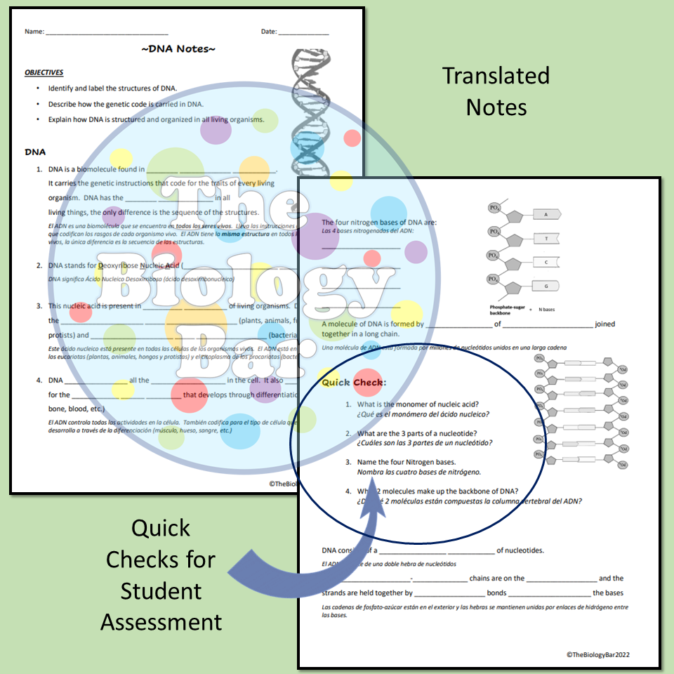 ESL Biology DNA Notes PPT and Student Notes with Digital option | Made ...