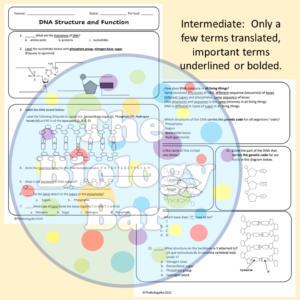 ESL Biology DNA Worksheet Structure & Function with Digital Format ...