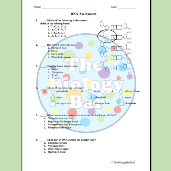 ESL SPED Biology DNA Assessment Quiz or Test - Made By Teachers