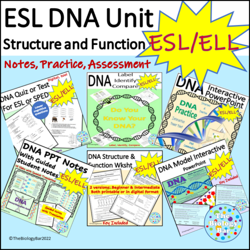 ESL Biology DNA Unit Bundle Structure Function Replication | Made By ...