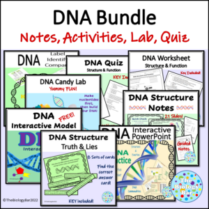 DNA Structure Function Biology Unit Bundle | Made By Teachers
