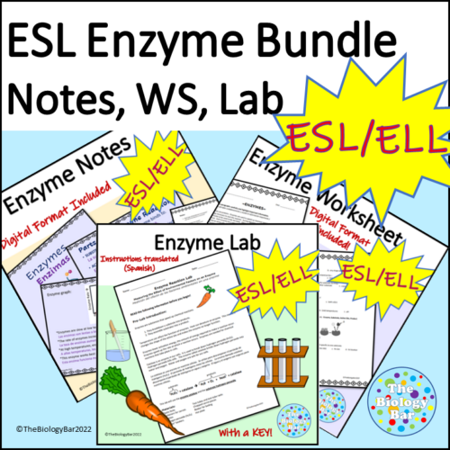 ESL Enzyme Biology Bundle | Made By Teachers