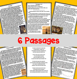 RL.6.2 - Central Idea, Theme, & Summarizing | Made By Teachers