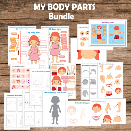My Body Parts - Human Body Parts Anatomy Busy Book, Learning Folder ...