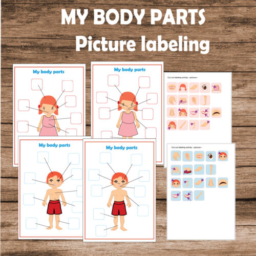 My Body Parts Picture Labelling, Label with Pictures | Made By Teachers