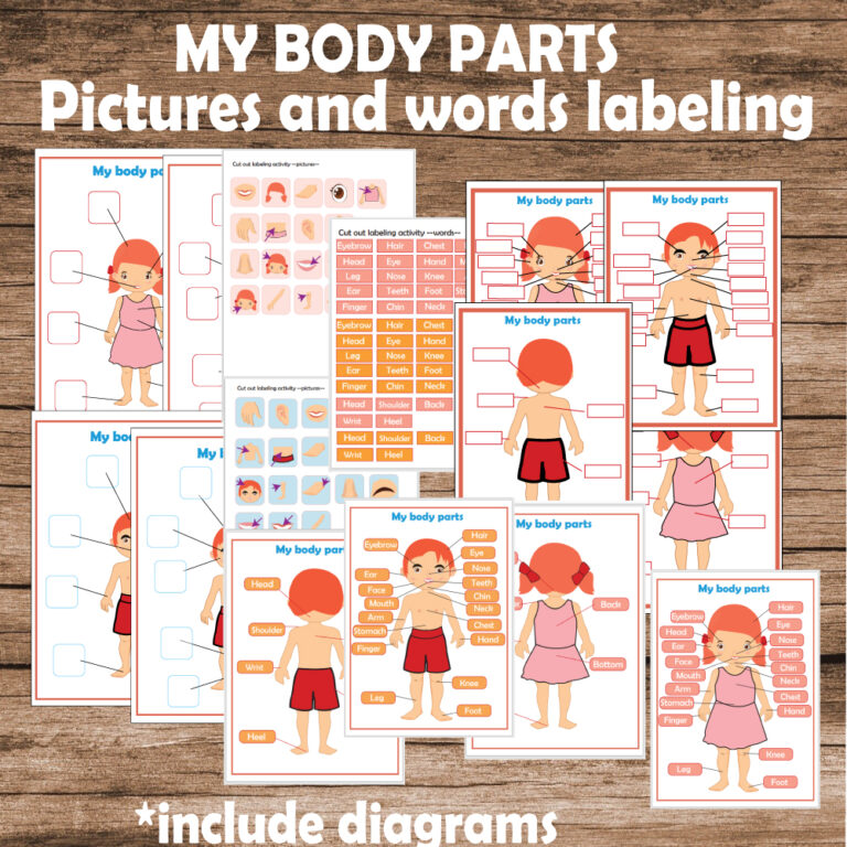 My Body Parts - Human Body Parts Labelling Words and Pictures | Made By ...