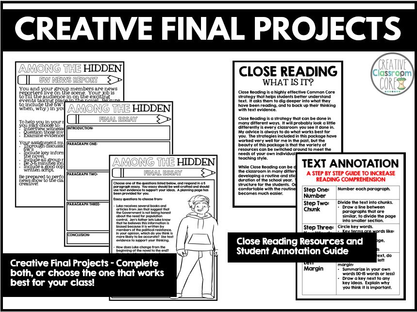 Among the Hidden Novel Study - Comprehension Questions - Activities ...