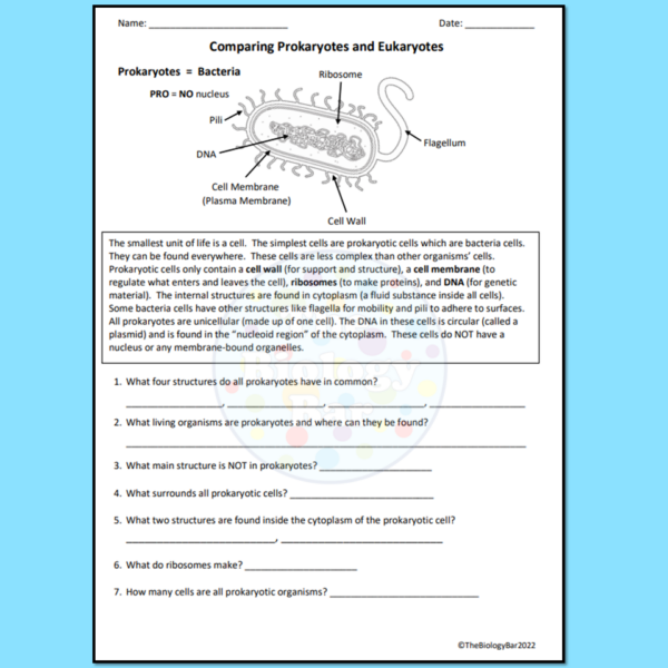 Cells Prokaryotic vs Eukaryotic Worksheet - Made By Teachers