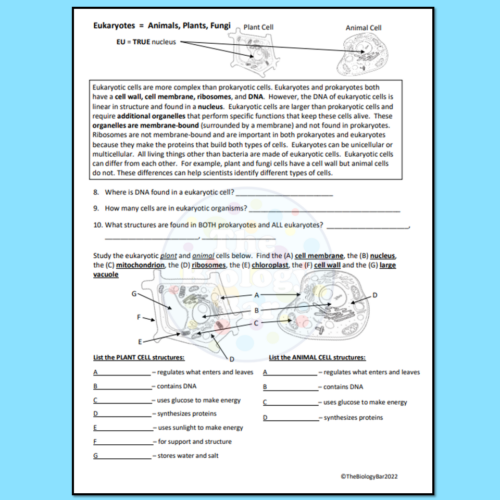 Cells Prokaryotic Vs Eukaryotic Worksheet Made By Teachers cells-prokaryotic-vs-eukaryotic-worksheet-made-by-teachers