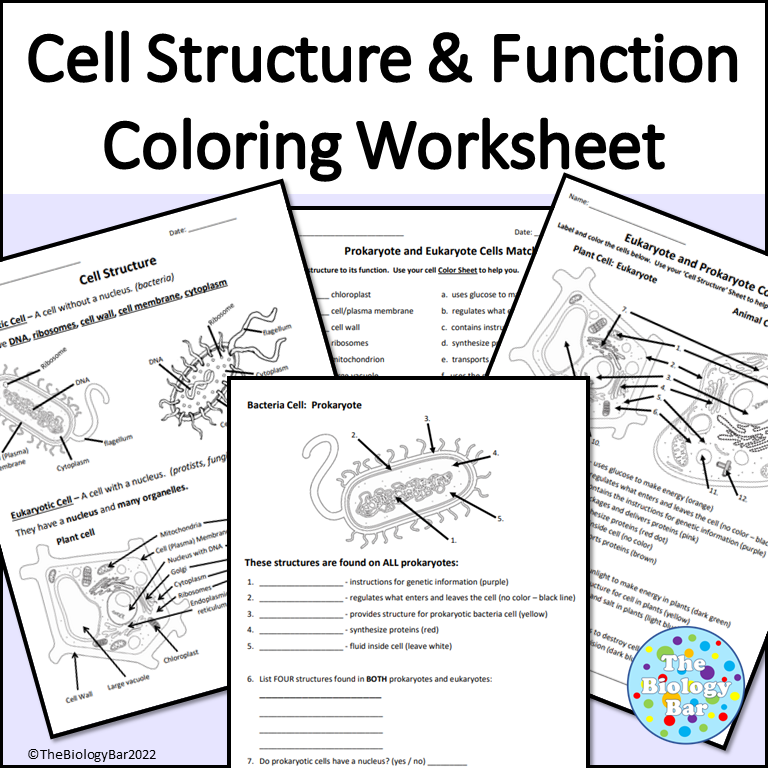 Cells Prokaryotic And Eukaryotic Color Worksheet Made By Teachers