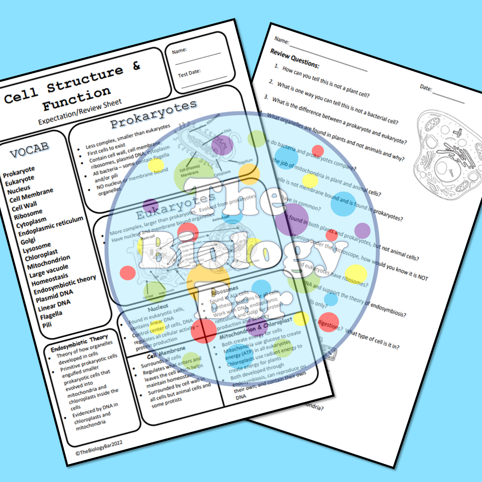 Cell Structure Function Review and Test Pro Euk Plant Animal | Made By ...