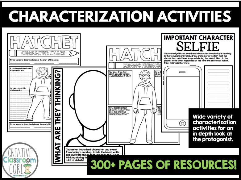 Hatchet Novel Study - Activities - Study Questions - Final Projects ...