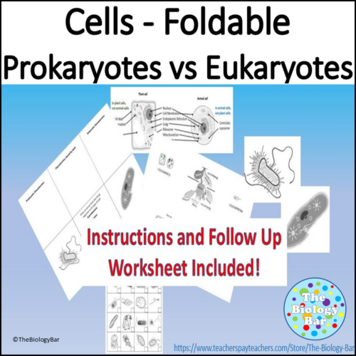 Cells Foldable Prokaryotic and Eukaryotic - Made By Teachers