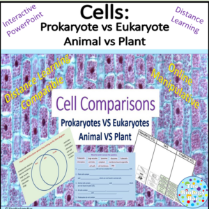 Cells Prokaryote Eukaryote Plant Animal Interactive PPT - Made By Teachers