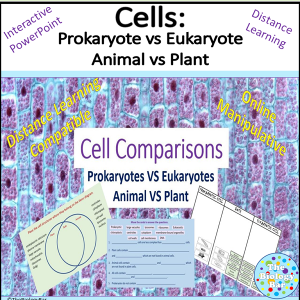 Cells Prokaryote Eukaryote Plant Animal Interactive PPT | Made By Teachers