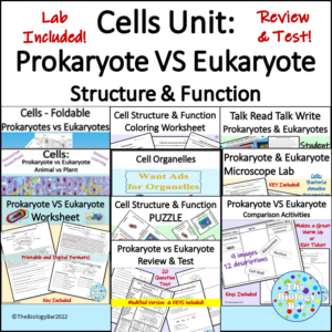 Cell Structure and Function Biology Unit Bundle | Made By Teachers