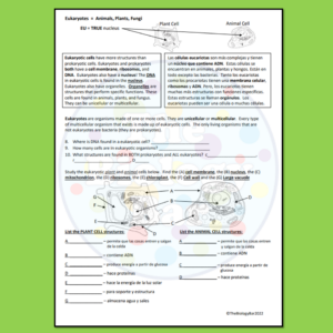 ESL Biology Prokaryote vs Eukaryote Cell Reading Worksheet | Made By ...