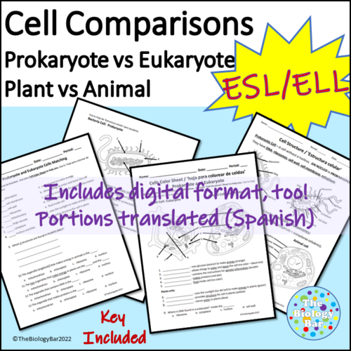 ESL Biology Cell Comparison Prokaryote Eukaryote Plant Animal Worksheet ...