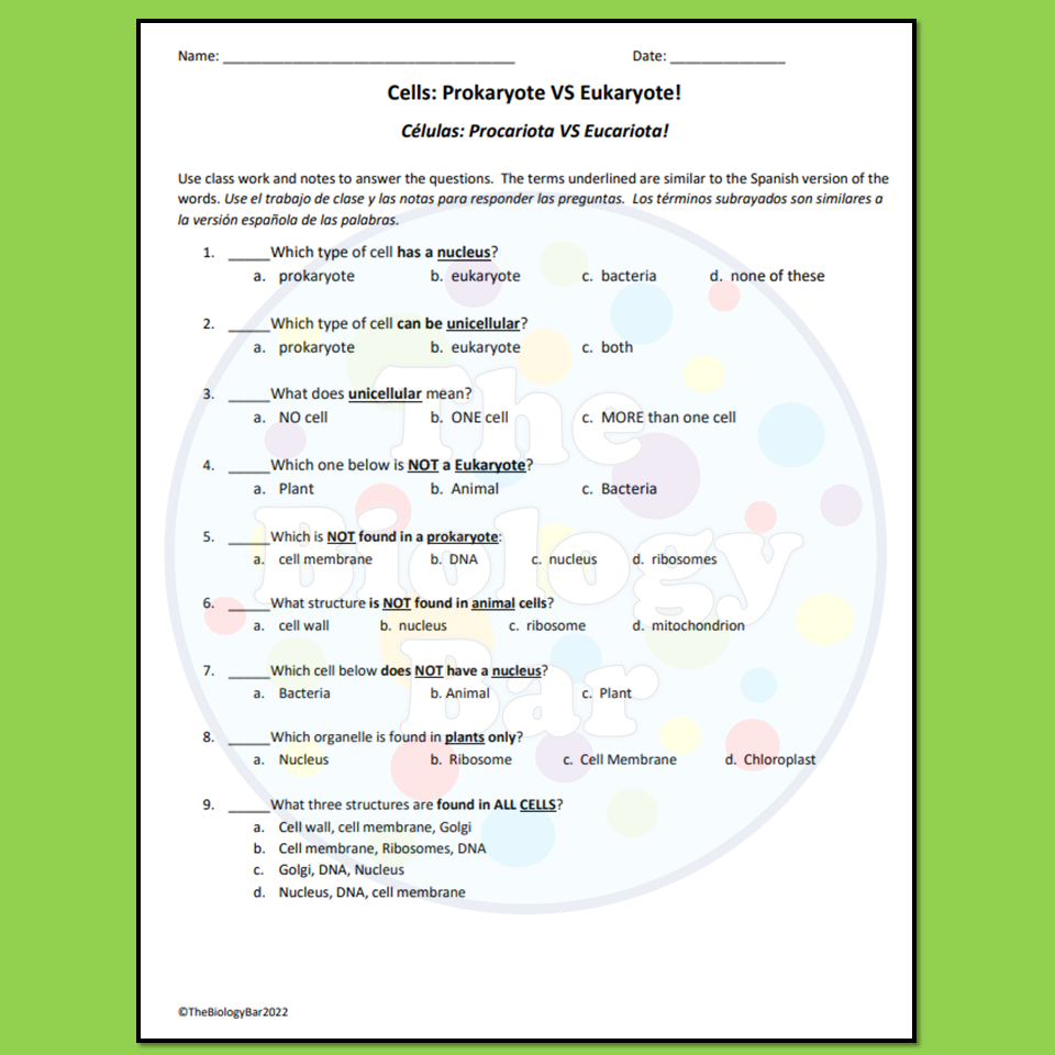 ESL Biology Prokaryote vs Eukaryote Cell Worksheet | Made By Teachers