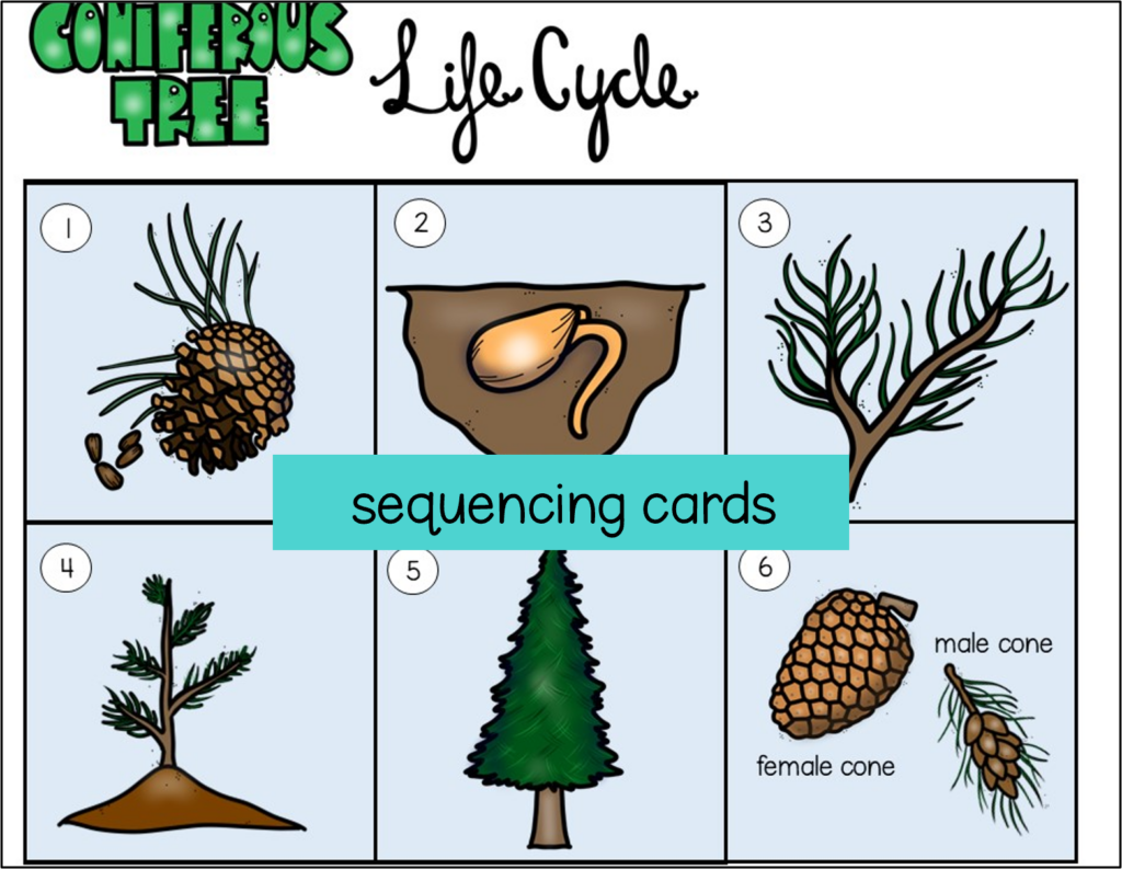 Retell and Sequencing Activities for ELL Students Winter Edition | Made ...