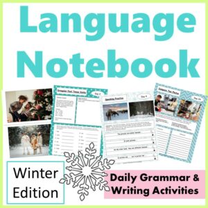 Daily Grammar and Writing Activities for ELL Students Winter Edition ...