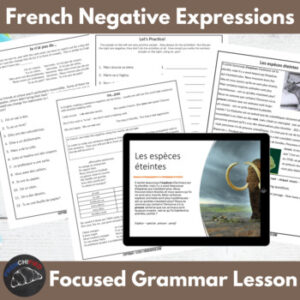 French grammar lesson - French negative expressions - Made By Teachers