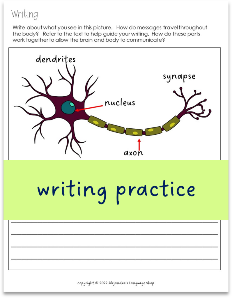 ESL Reading - High Interest Texts - The Amazing Human Brain | Made By ...