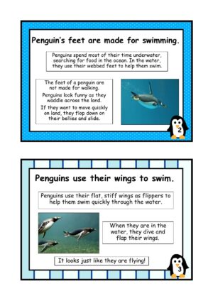 Penguin Facts Mini Book Reading Comprehension | Made By Teachers