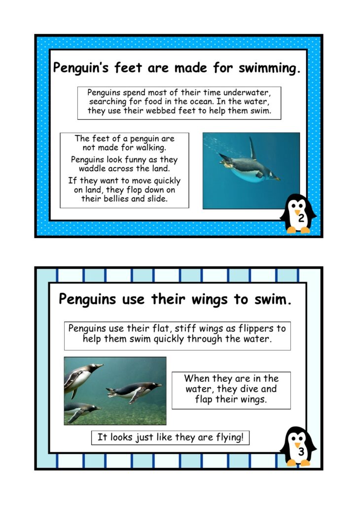 Penguin Facts Mini Book Reading Comprehension | Made By Teachers