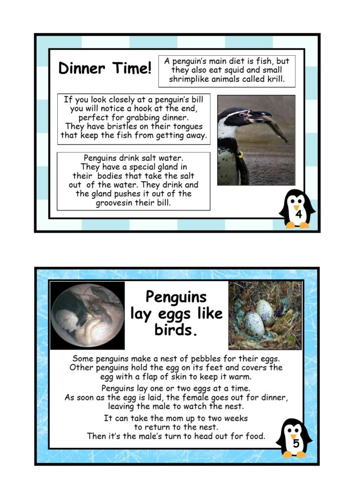 Penguin Facts Mini Book Reading Comprehension | Made By Teachers