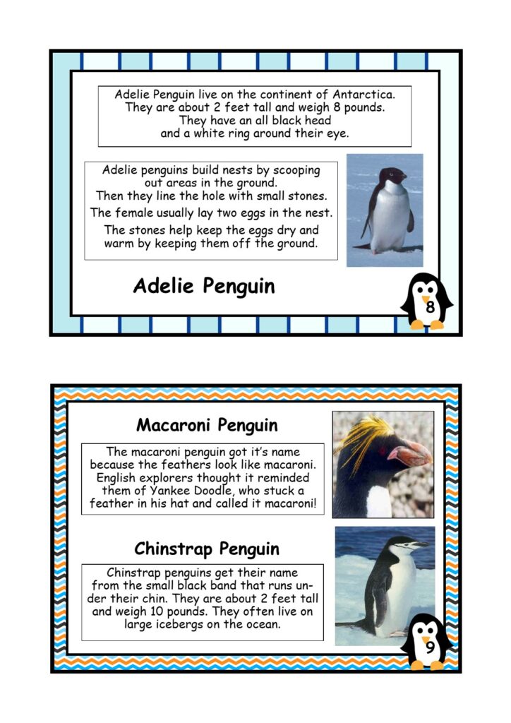 Penguin Facts Mini Book Reading Comprehension | Made By Teachers