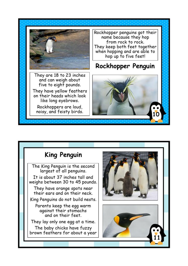 Penguin Facts Mini Book Reading Comprehension | Made By Teachers