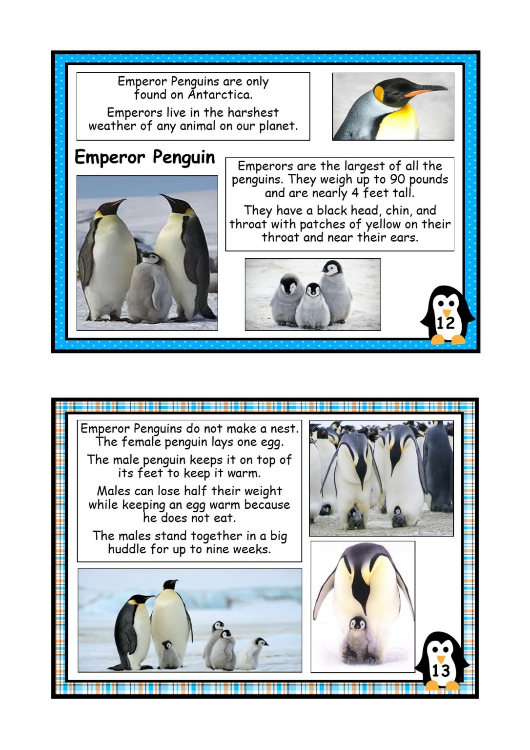 Penguin Facts Mini Book Reading Comprehension | Made By Teachers