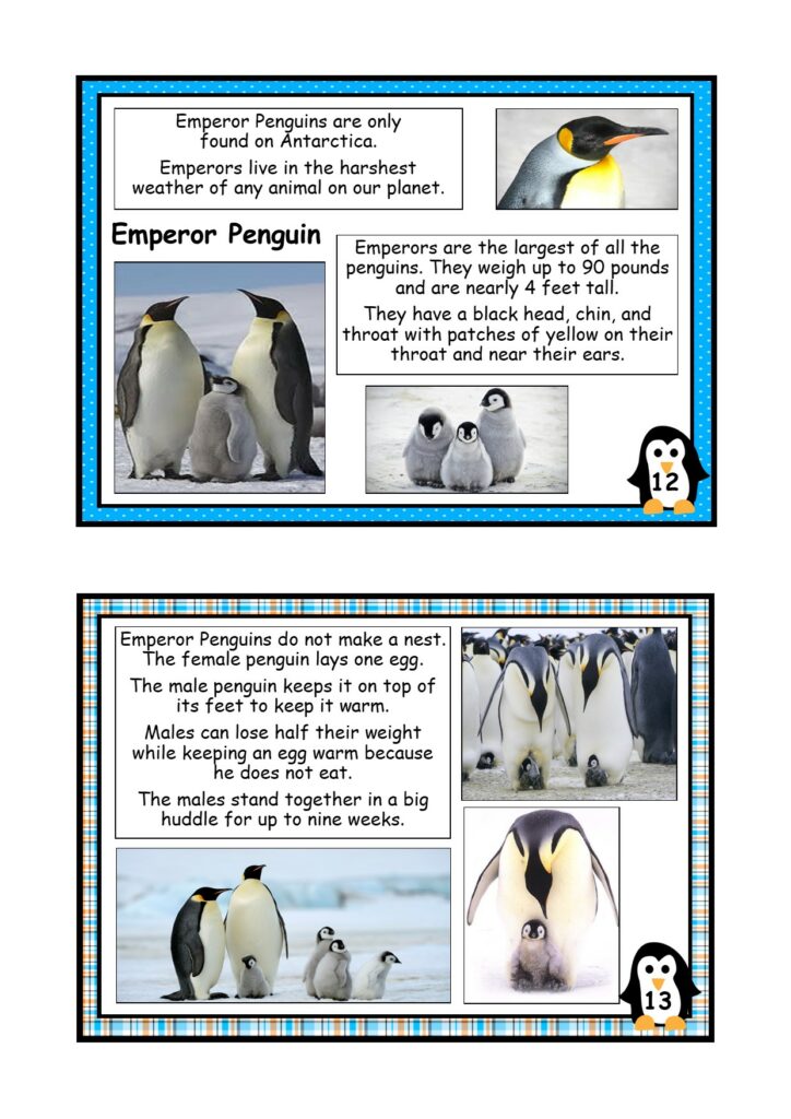 Penguin Facts Mini Book Reading Comprehension | Made By Teachers