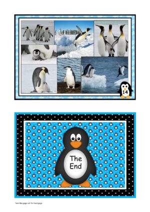 Penguin Facts Mini Book Reading Comprehension | Made By Teachers