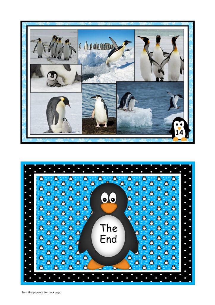 Penguin Facts Mini Book Reading Comprehension | Made By Teachers