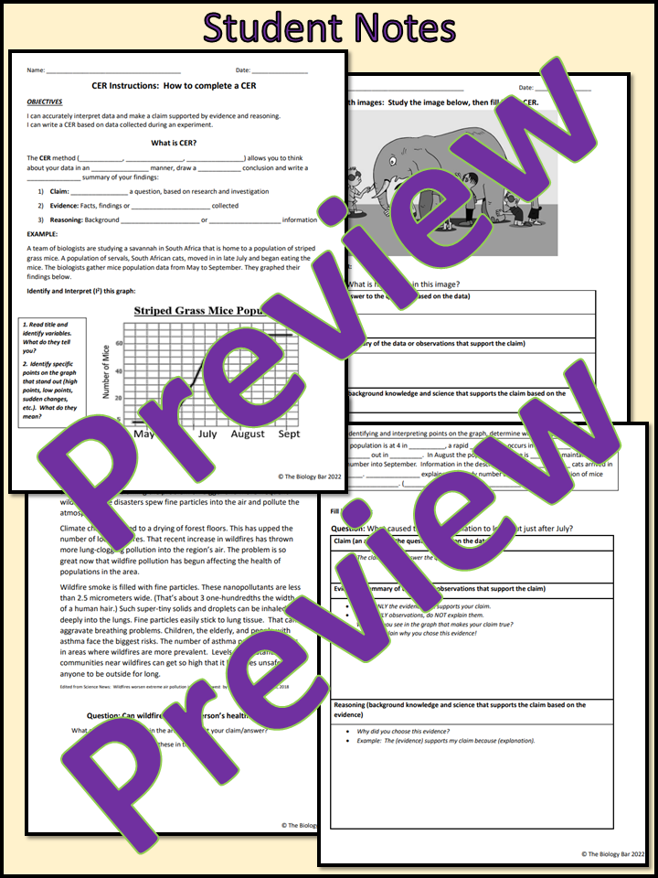 Science CER Instructions Practice PPT and Worksheets | Made By Teachers