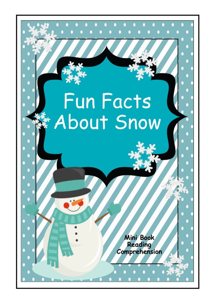 Fun Facts About Snow Mini Book Reading Comprehension | Made By Teachers